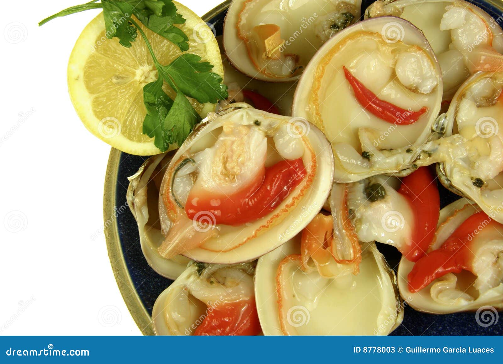 Clams stock image. Image of shellfish, cooked, cook, seafood - 8778003