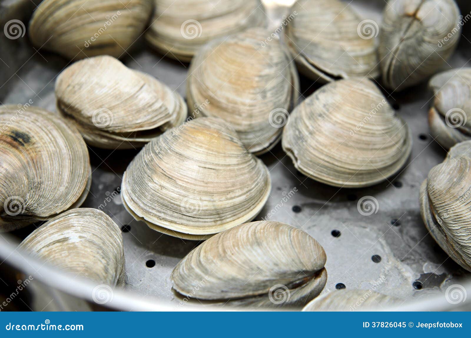 Clams cooked in steamer stock image. Image of chowder - 37826045