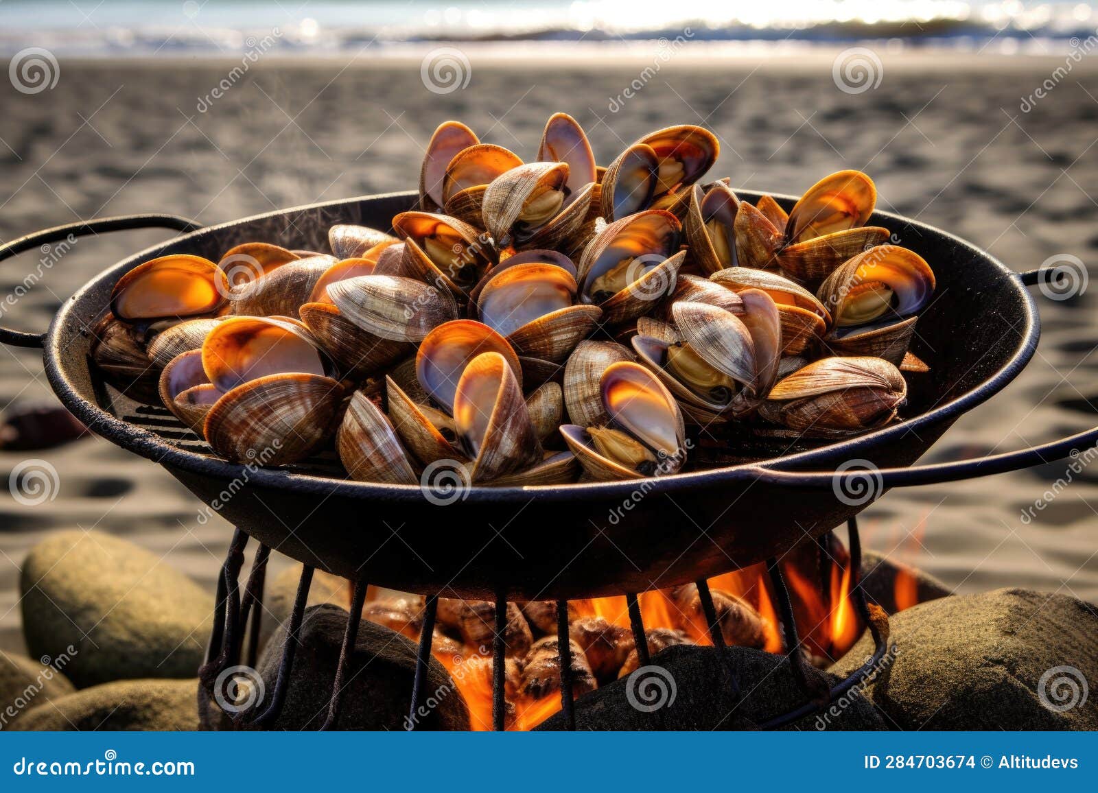 Clams Grilling on an Open Flame Beach Bbq Pit Stock Illustration ...