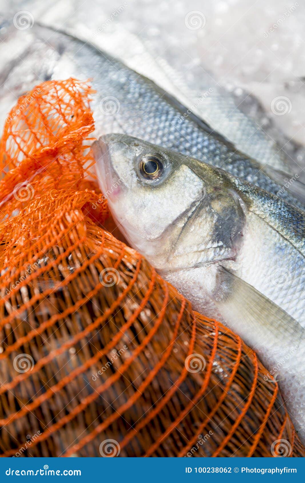 Clams in Net and Fresh Fish on Ice Stock Photo - Image of market, food ...