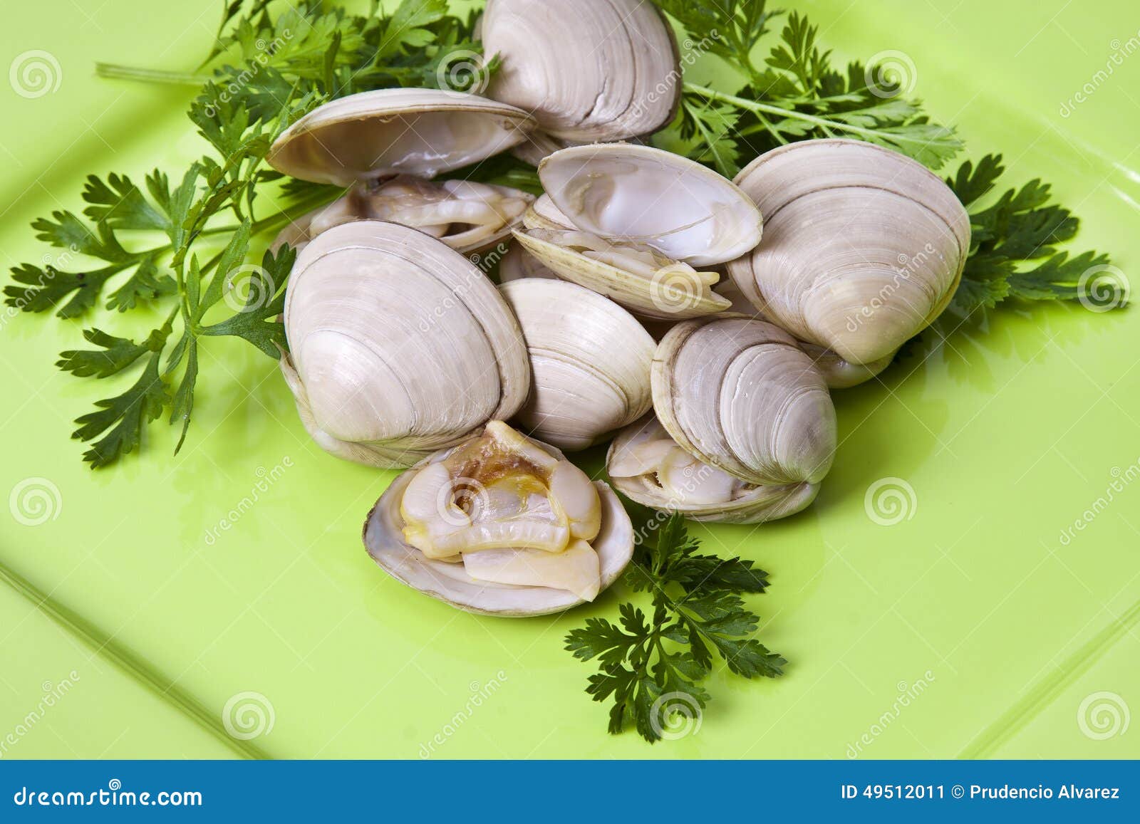 Clams stock image. Image of decorated, cooking, mollusks - 49512011