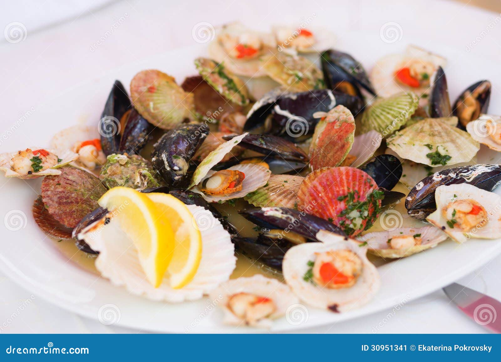 Clams on a plate stock image. Image of clams, mollusc - 30951341