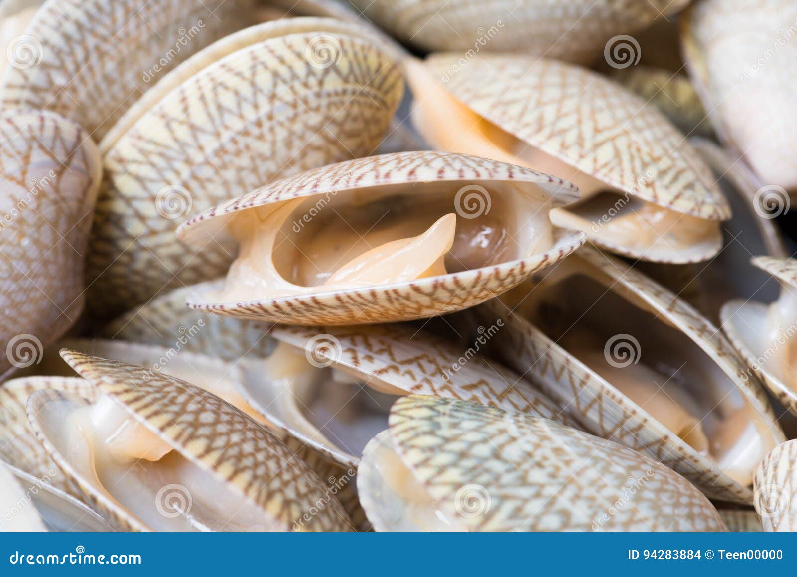 Clams Shell or Short Neck Clams Stock Photo - Image of food, restaurant ...