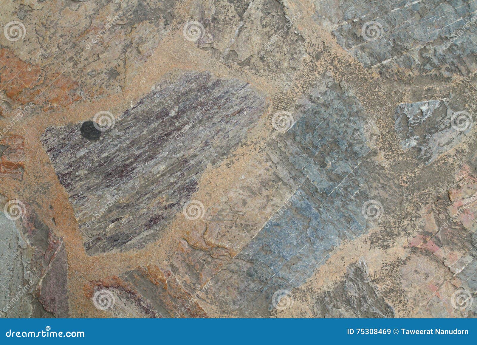 Clams Stone for the Walls in the House. Stock Image - Image of vintage ...