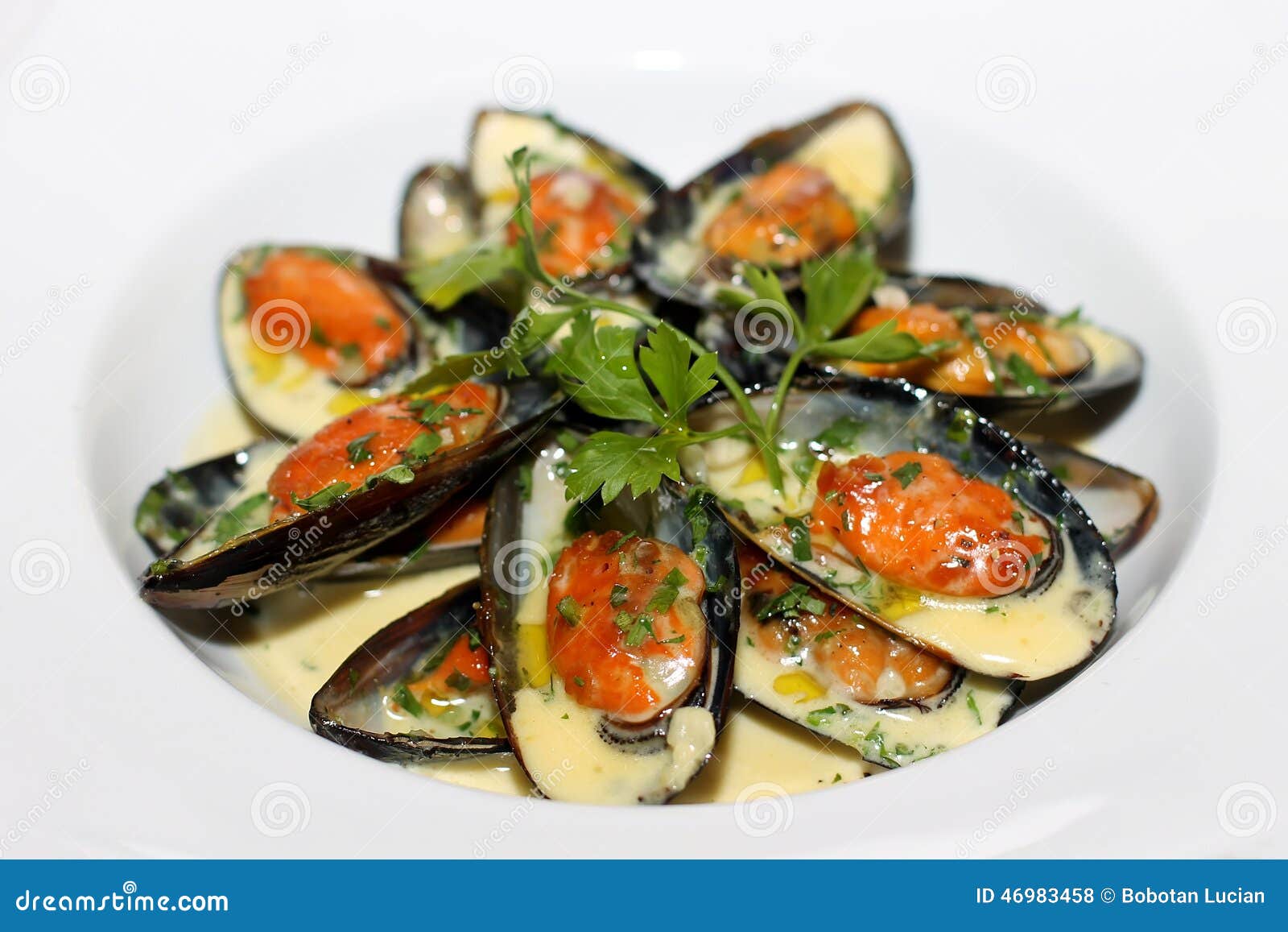 Clams on white plate stock photo. Image of plate, dinner - 46983458