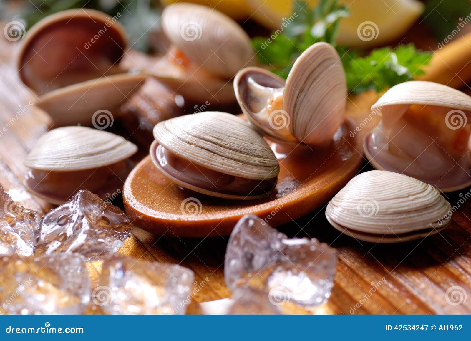 Clams on the wooden table stock image. Image of cuisine - 42534247