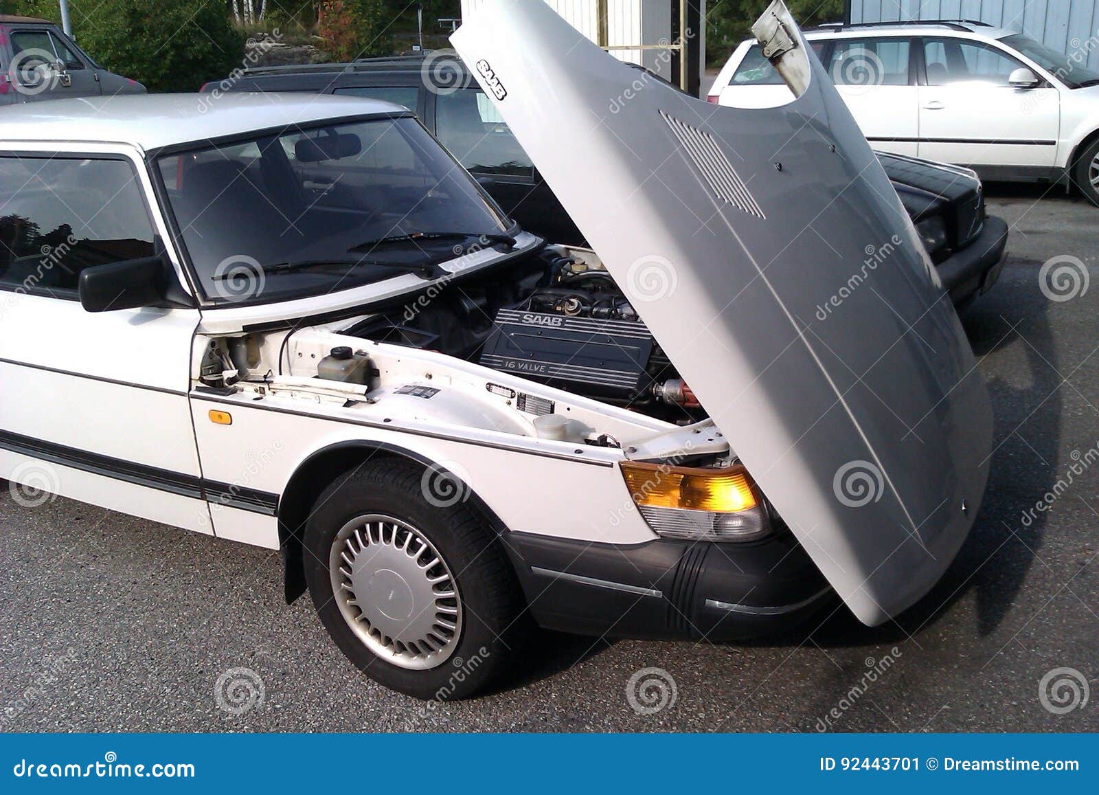 Saab has been sitting under tree for almost a year, mold comes off like ...