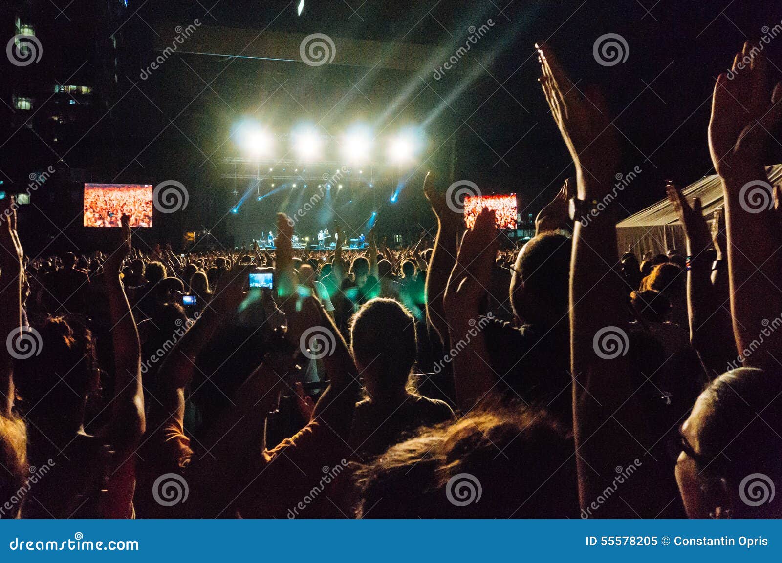 People Clapping At Night Concert, Partying And Raising Hands For The ...