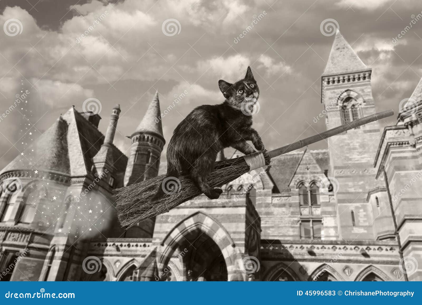 Clarabelles First Flight on Her Magic Broom Stock Image - Image of ... Clarabelles First Flight on Her Magic Broom Stock Image - Image of ...