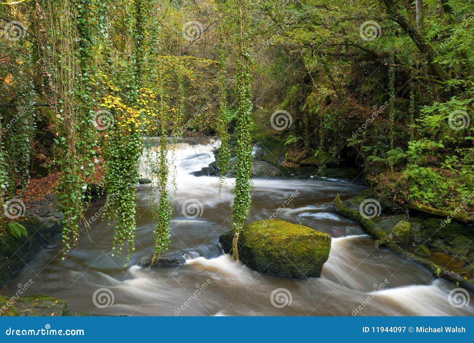 Clare Glens stock image. Image of irish, river, mountain - 11944097