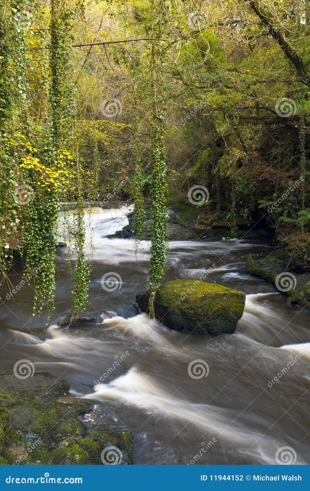 Clare River stock photo. Image of stream, river, green - 11944152
