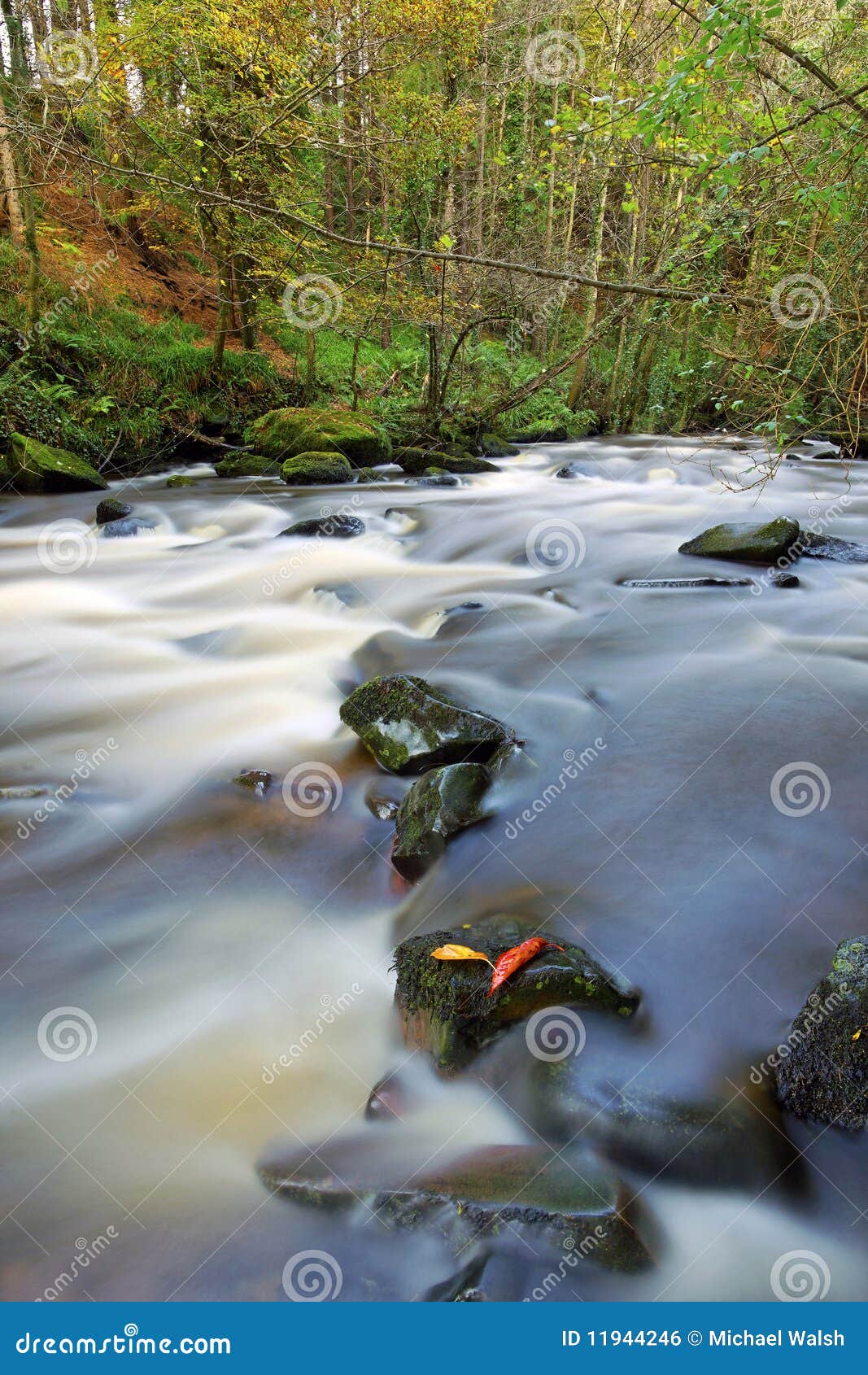 Clare River stock photo. Image of waterfall, river, environment - 11944246
