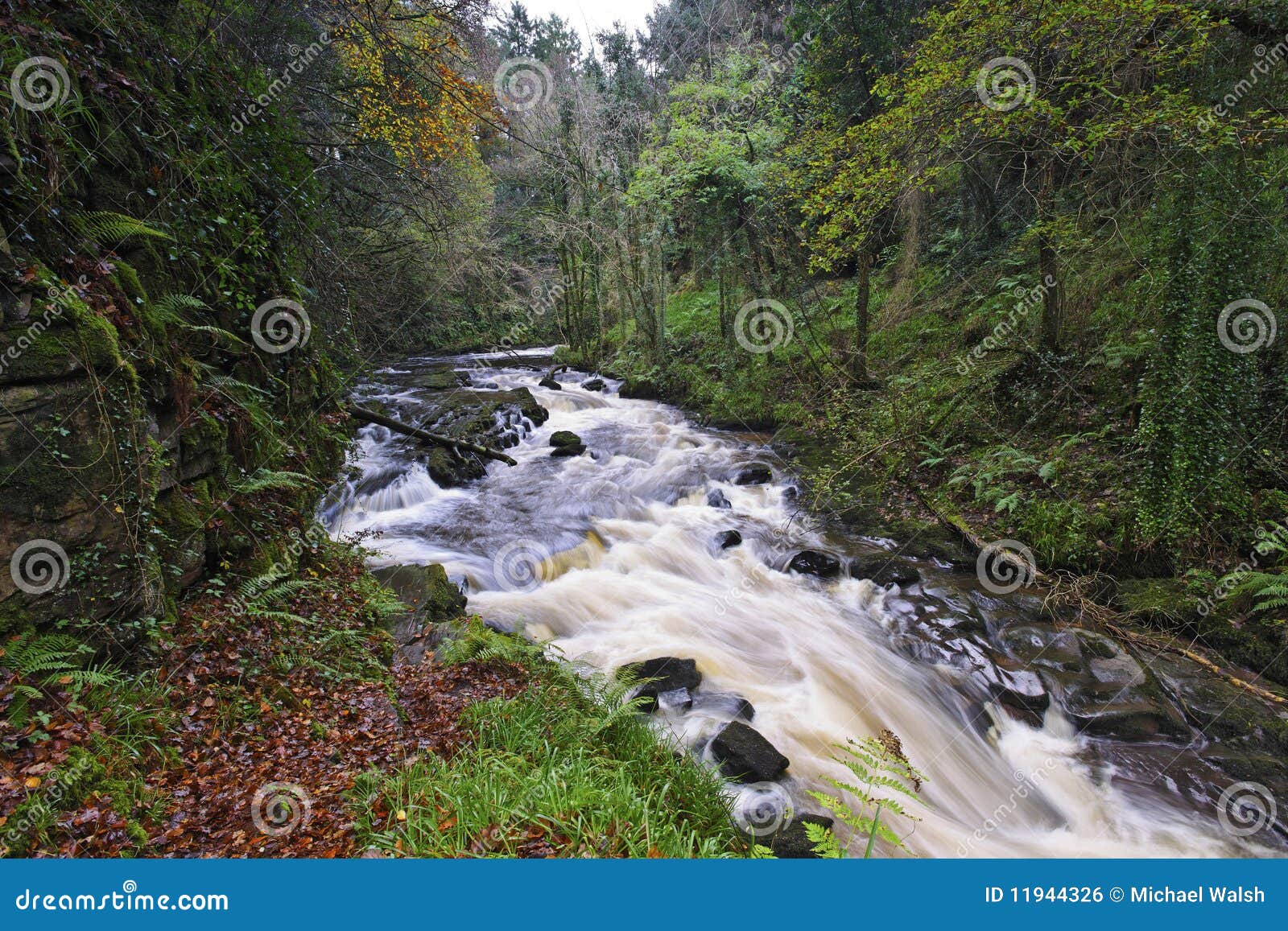 Clare River stock photo. Image of irish, outdoor, nature - 11944326