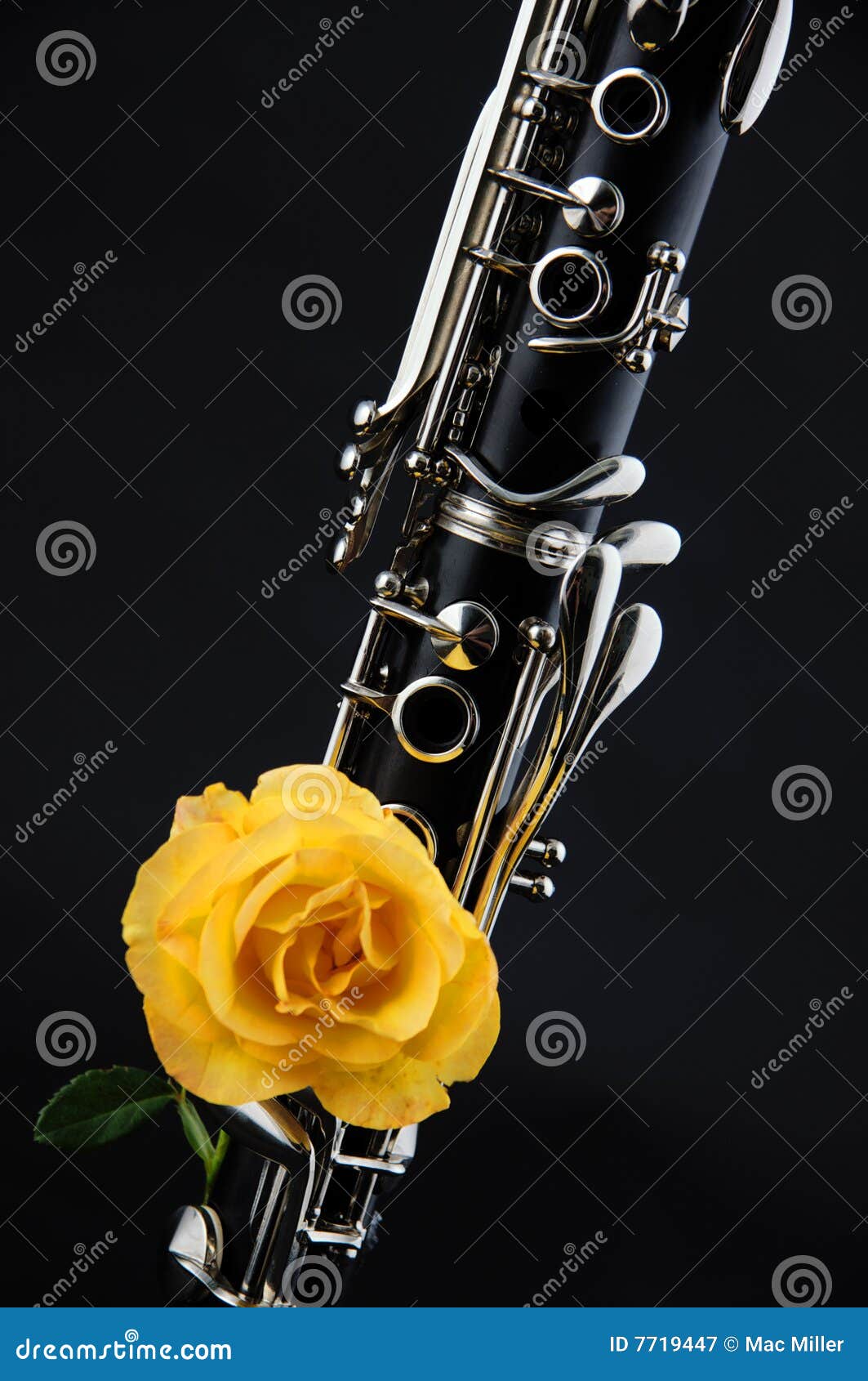 Clarinet with Yellow rose stock image. Image of vertical - 7719447