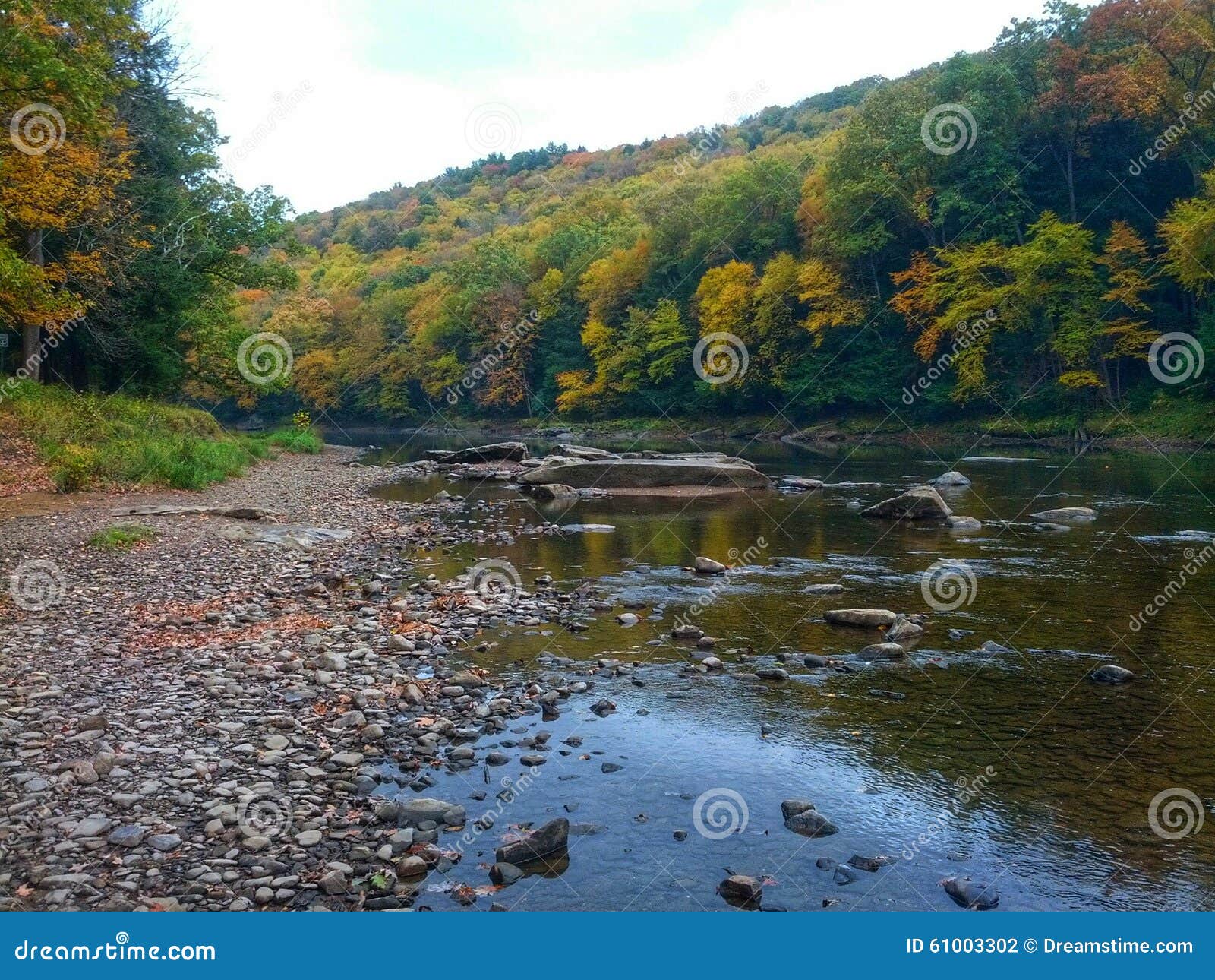 Clarion River with Fall Foliage Stock Photo - Image of clarion, trees ...