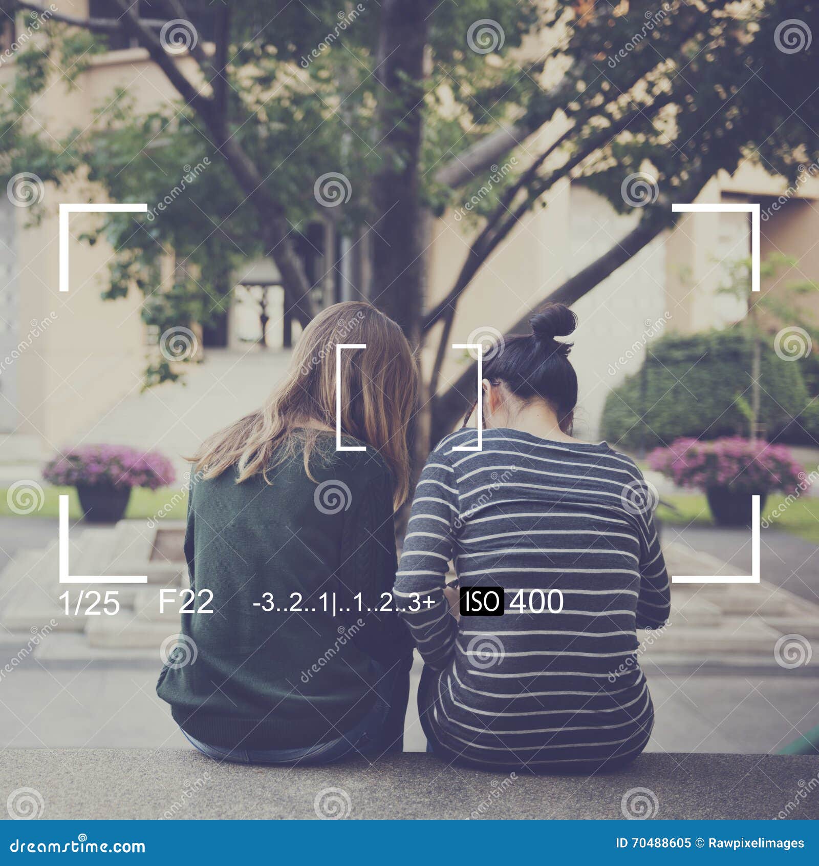 Focal Point View Of A Straight Pathway With Hedges On Each Side Royalty ...