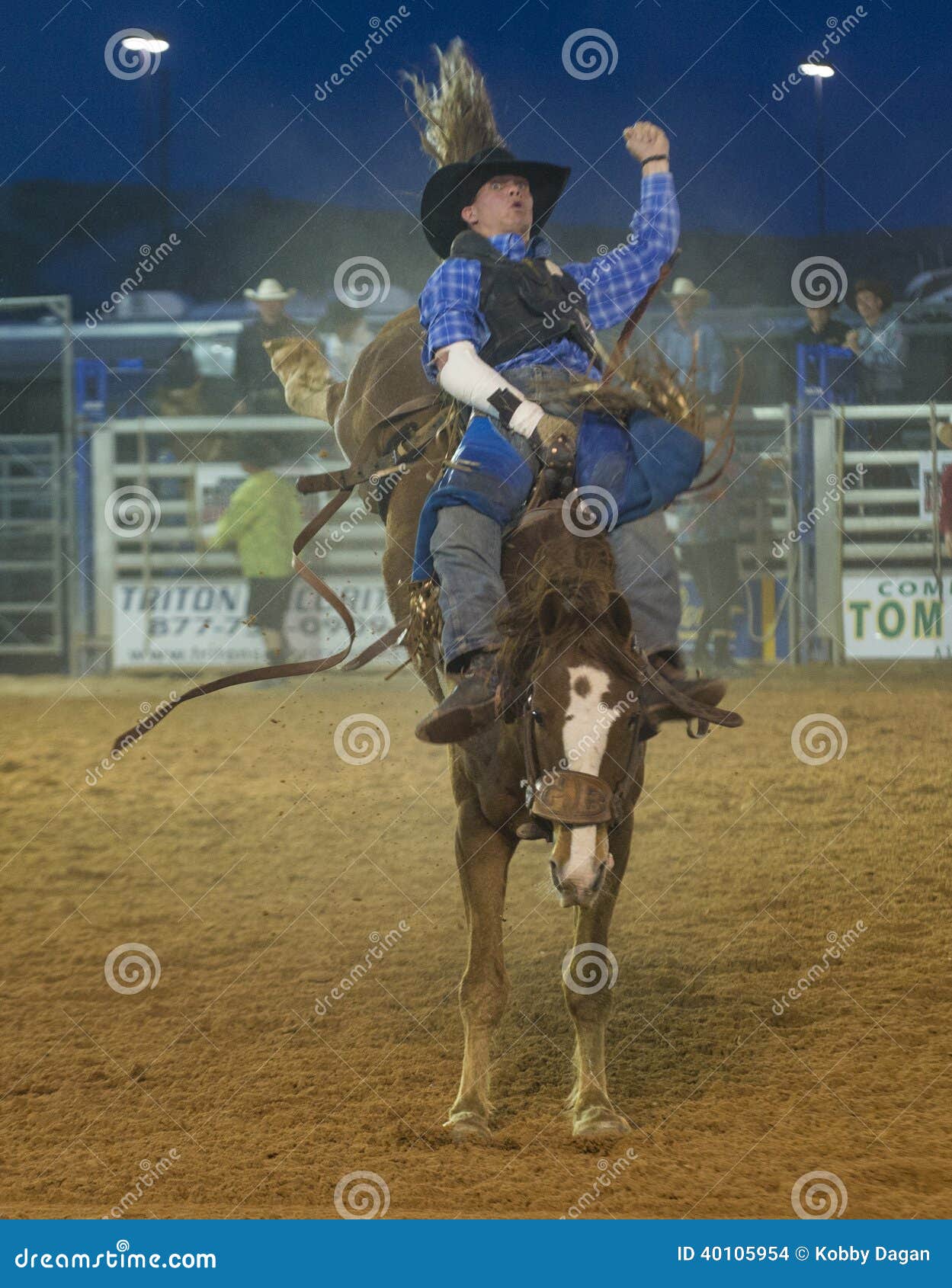 Clark County Fair E O Rodeio Imagem de Stock Editorial - Imagem de ...