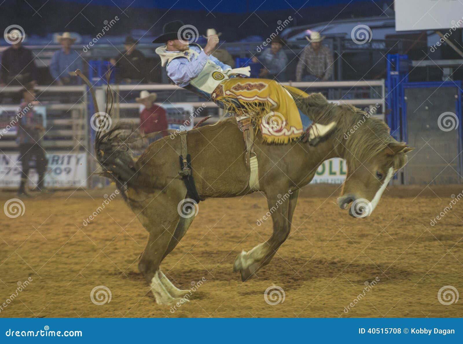 Clark County Fair Y El Rodeo Foto de archivo editorial - Imagen de ...