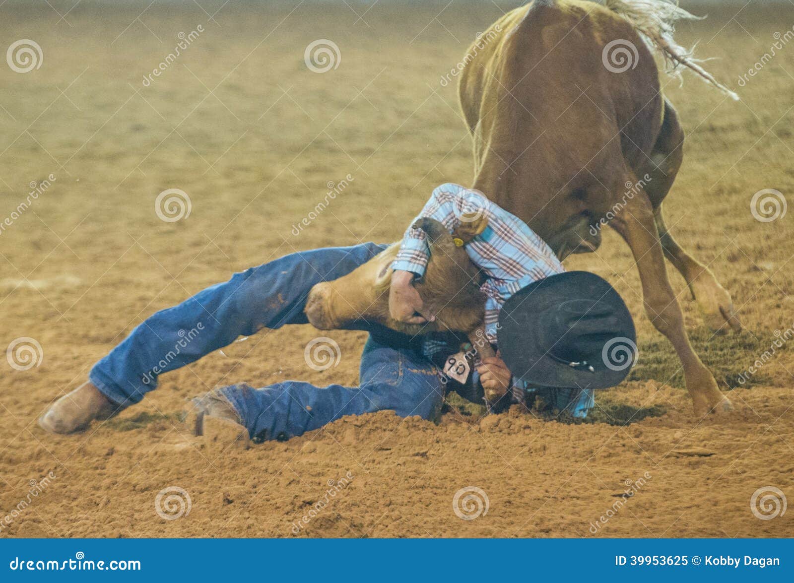 Clark County Fair y rodeo imagen editorial. Imagen de vaca - 39953625