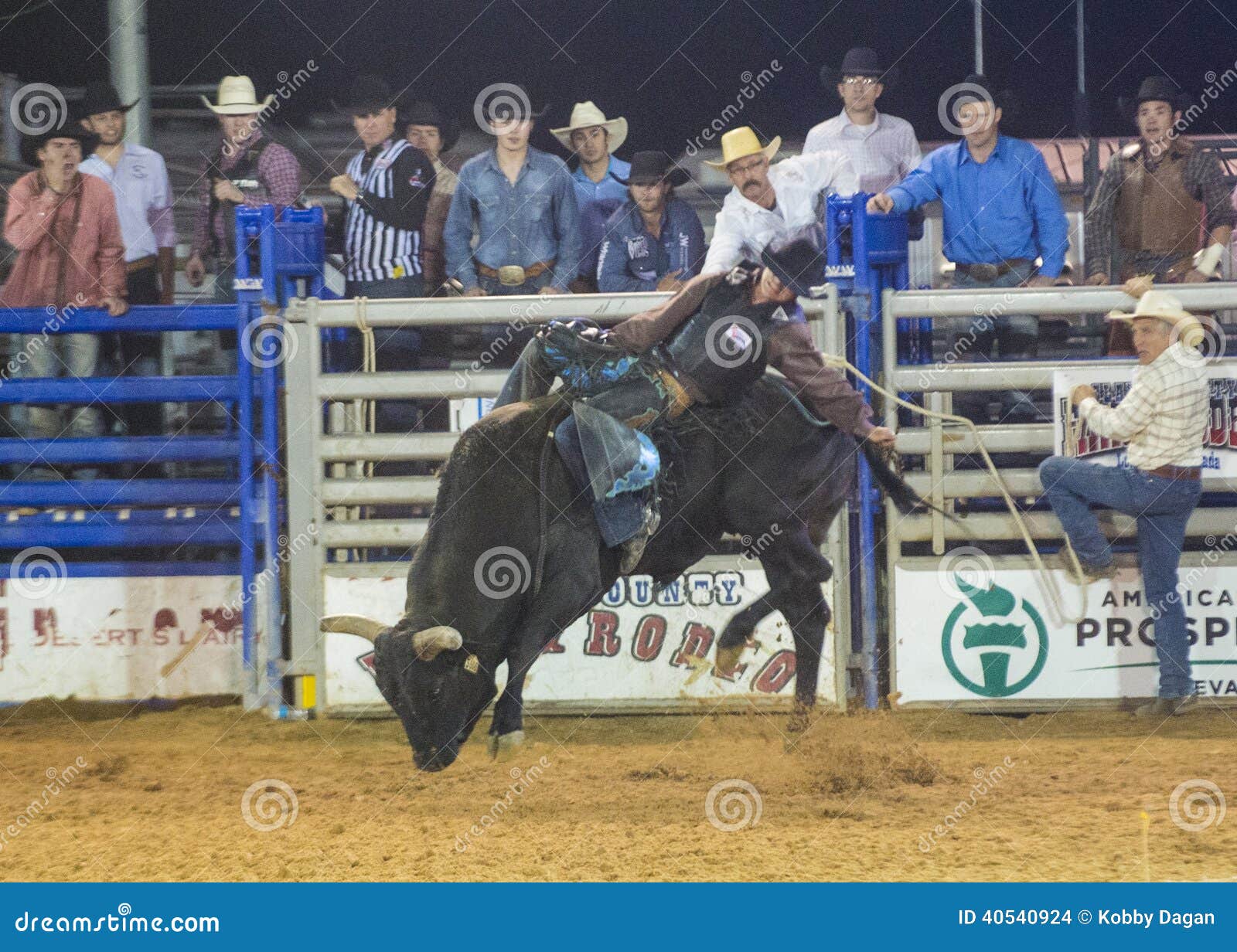Clark County Fair y rodeo imagen de archivo editorial. Imagen de ganado ...