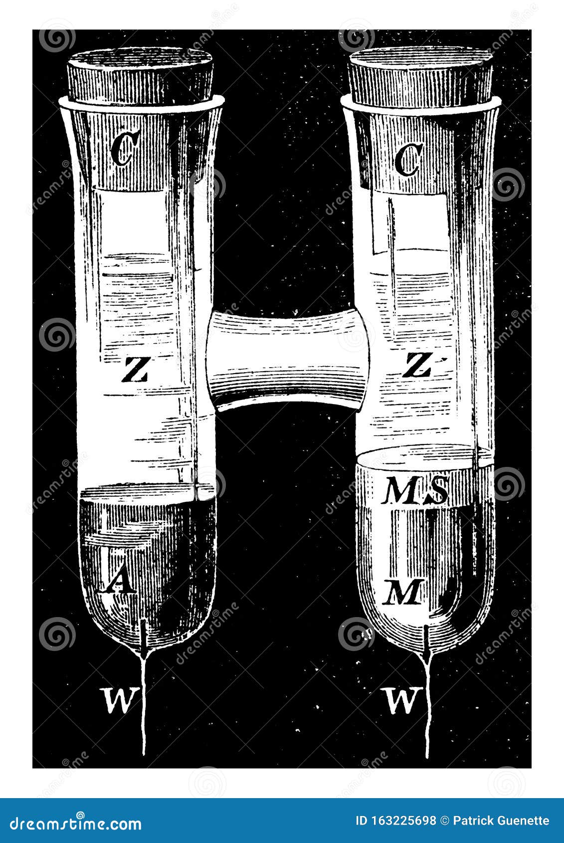Clark`s Standard Cell, Vintage Illustration Stock Photo - Image of line ...