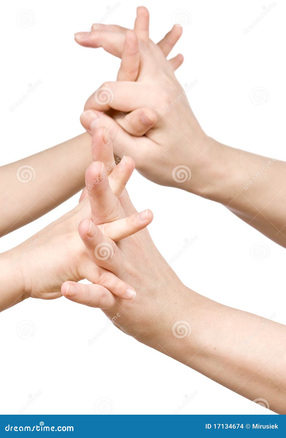 Clasped hands stock photo. Image of child, adult, together - 17134674