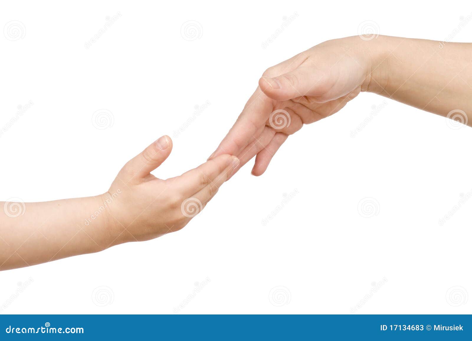 Clasped hands stock image. Image of child, white, together - 17134683