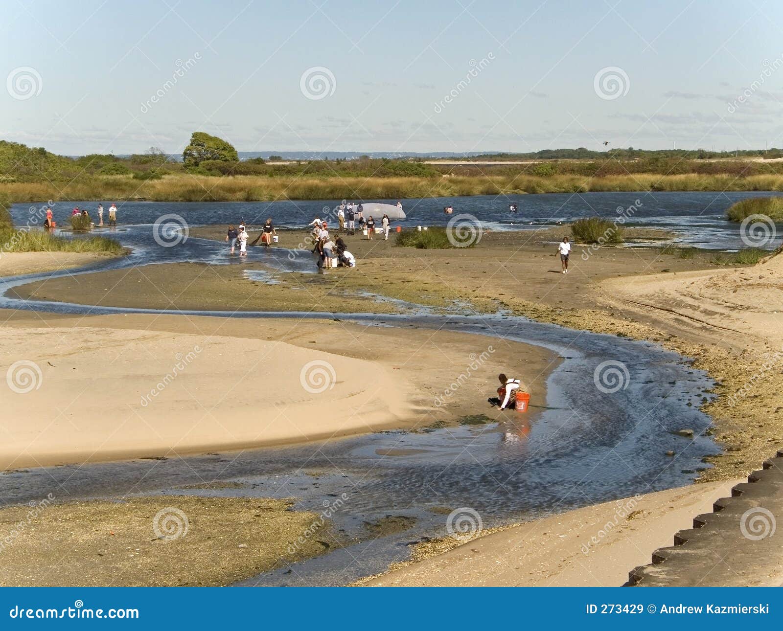 Class Trip stock image. Image of sand, clamming, clouds - 273429