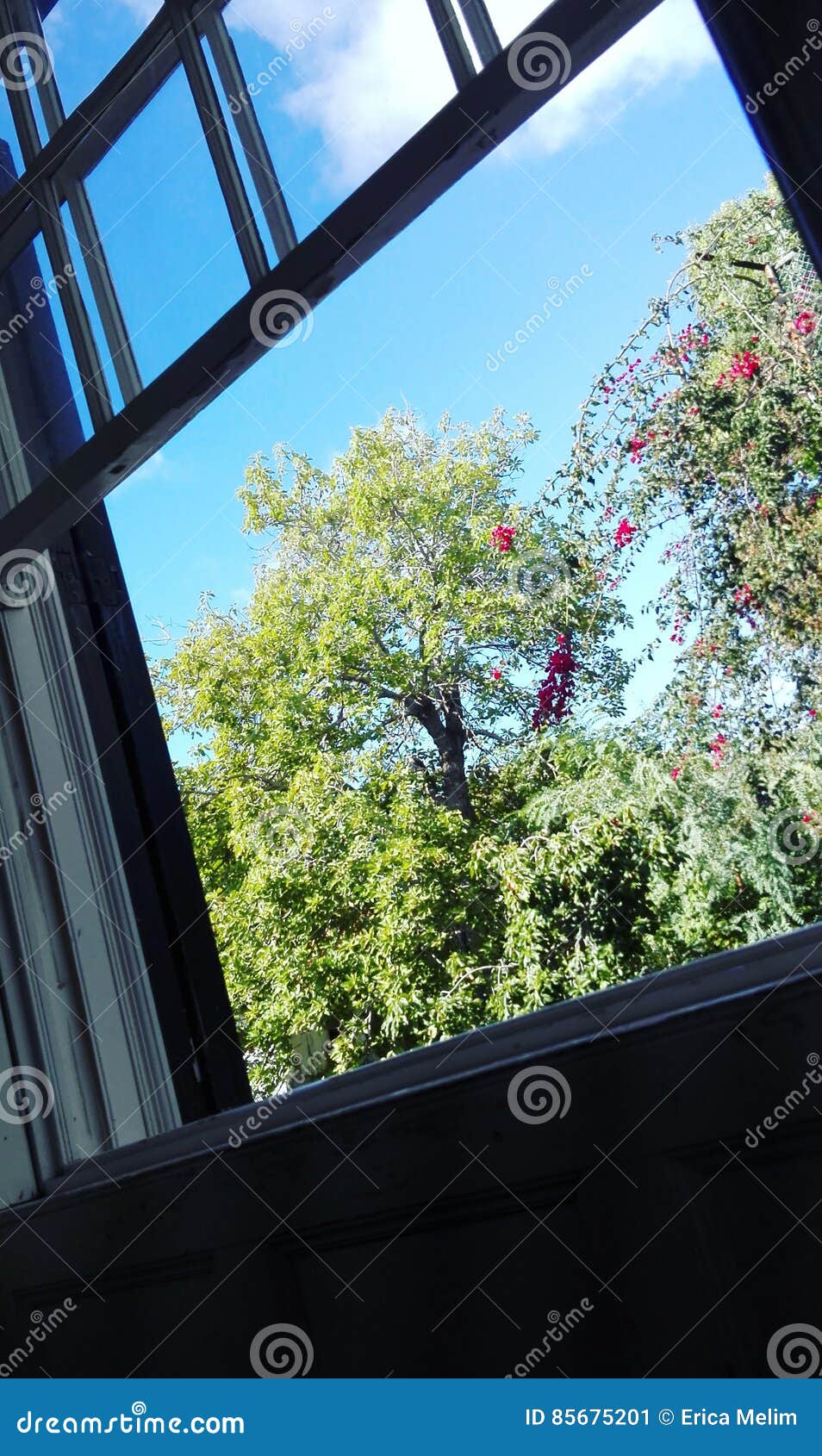 Class window stock image. Image of blue, summer, window - 85675201