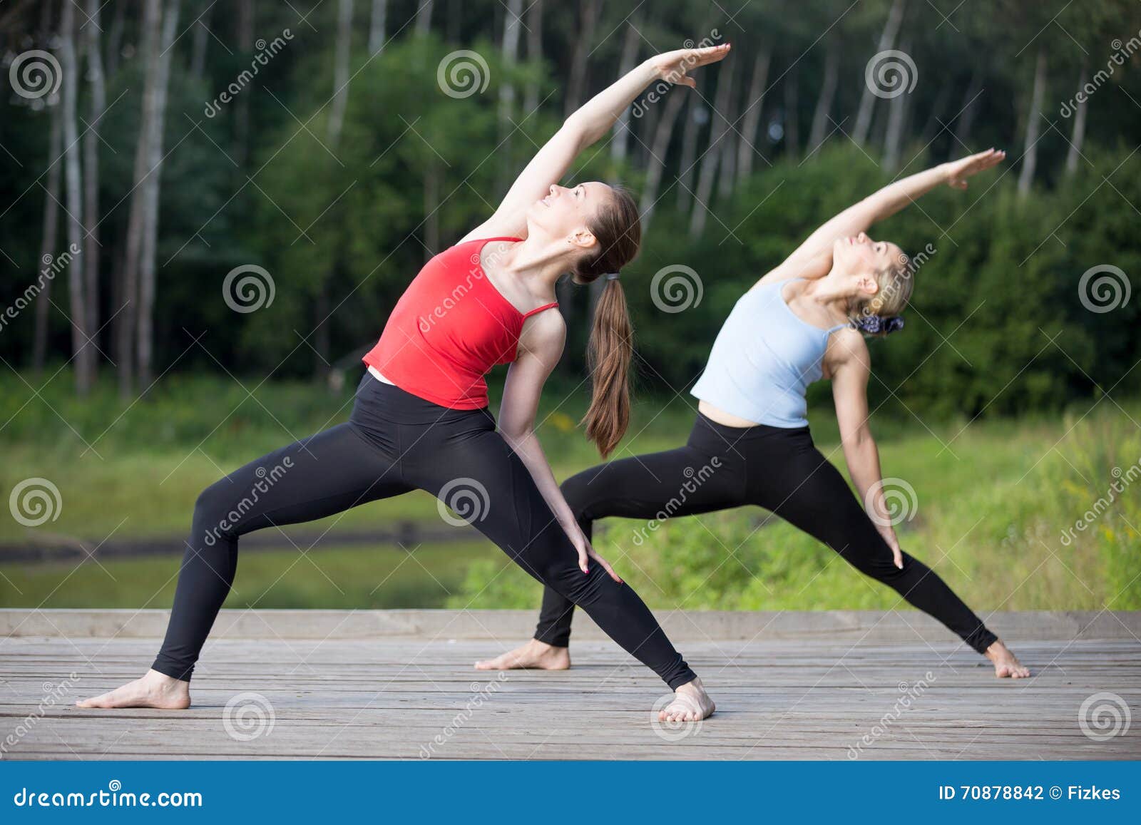 Classe De Yoga : Pose Inverse De Guerrier Photo stock - Image du nature ...