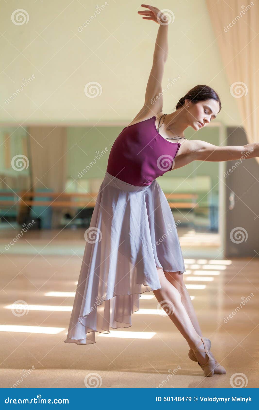 Classic Ballet Dancer Posing At Barre On Rehearsal Stock Image - Image ...