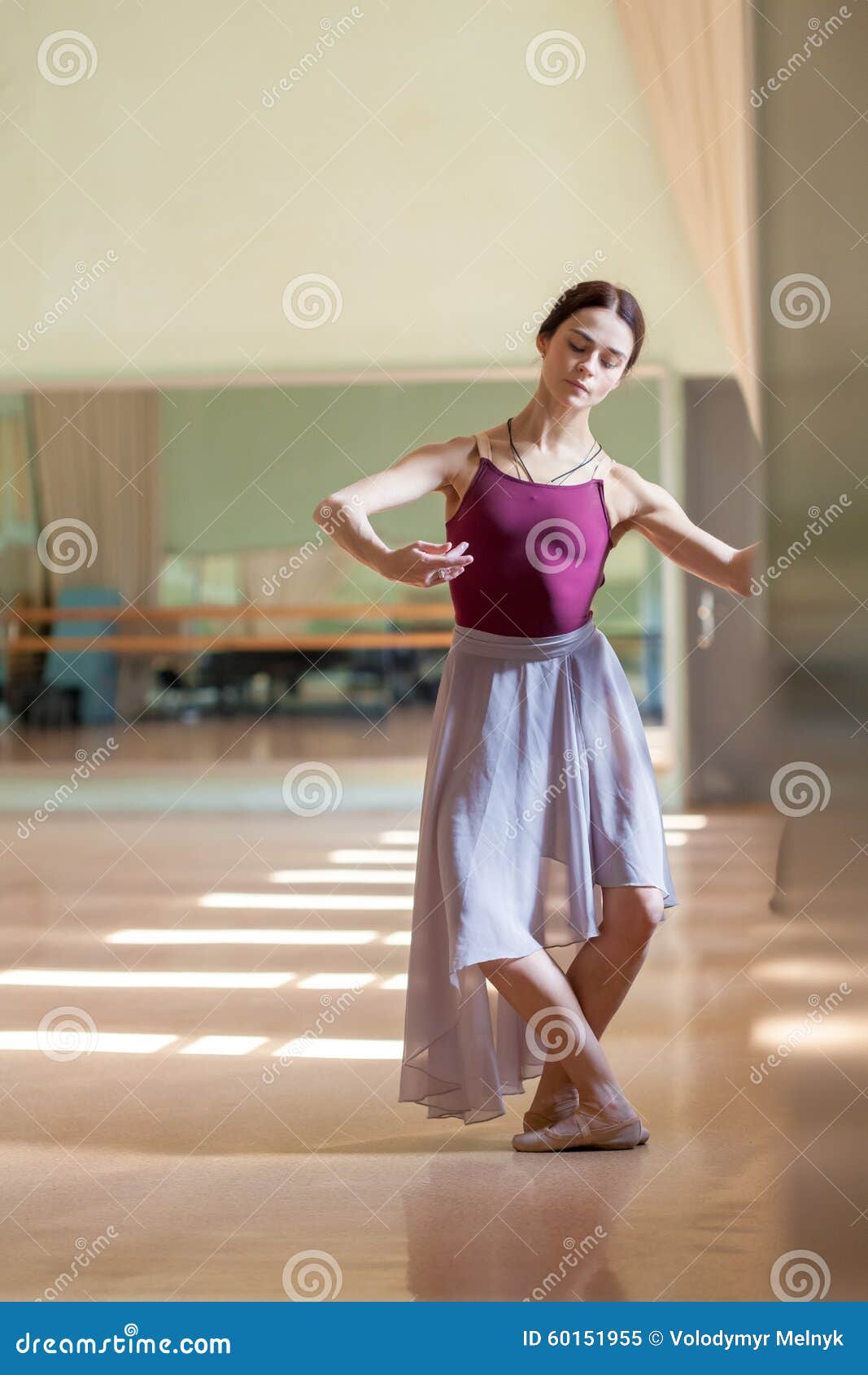 Classic Ballet Dancer Posing at Barre on Rehearsal Stock Image - Image ...