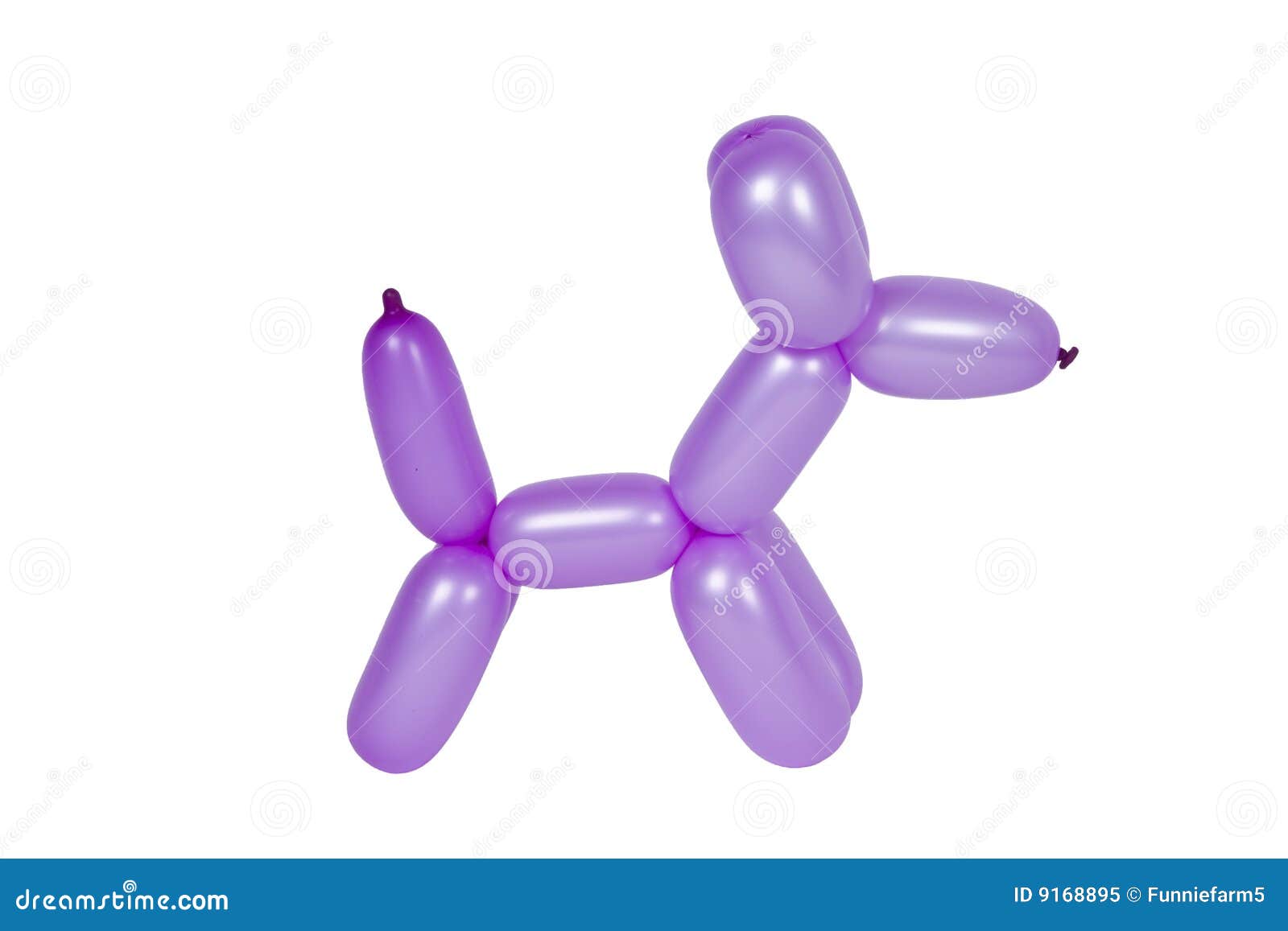 Classic Balloon Dog stock image. Image of cute, craft - 9168895