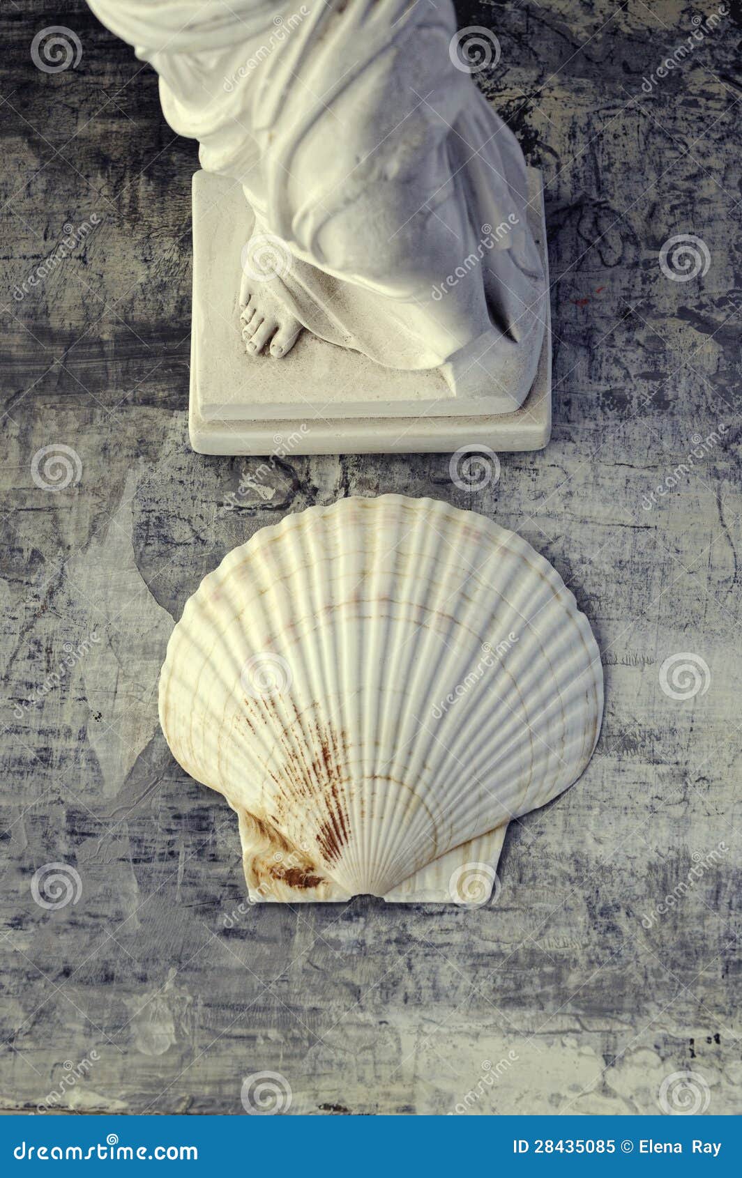 Scallop Shell Aphrodite