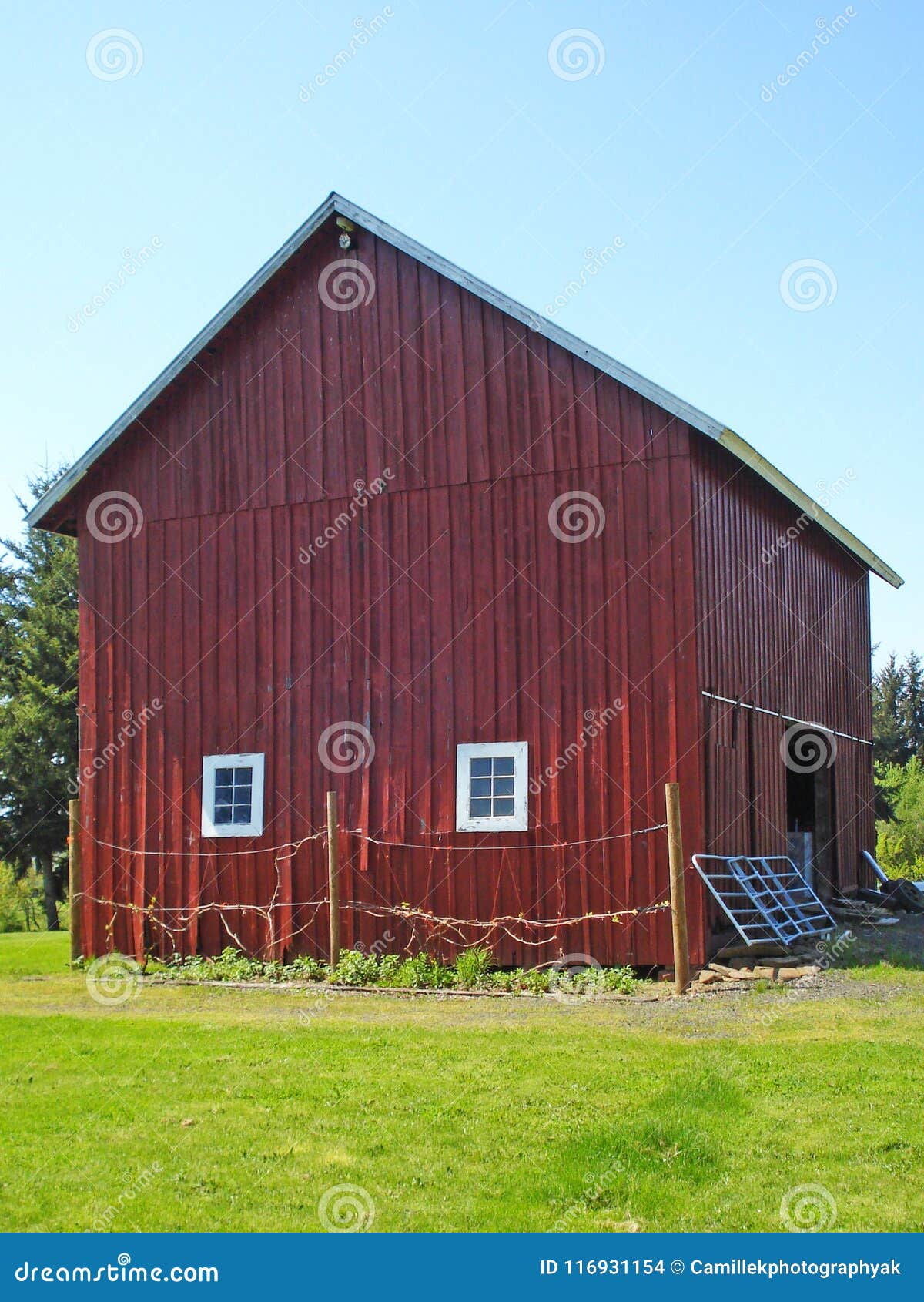 Classic Big Red Barn stock photo. Image of back, alaska - 116931154