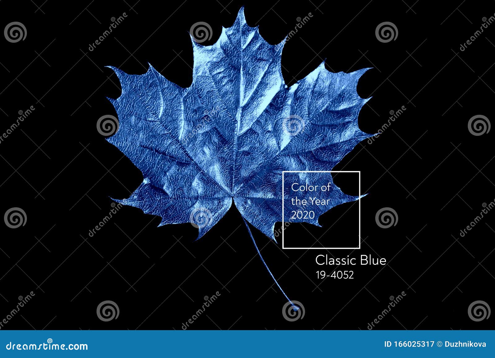 Classic Blue. Color of the Year 2020. Maple Leaf on Black Background ...