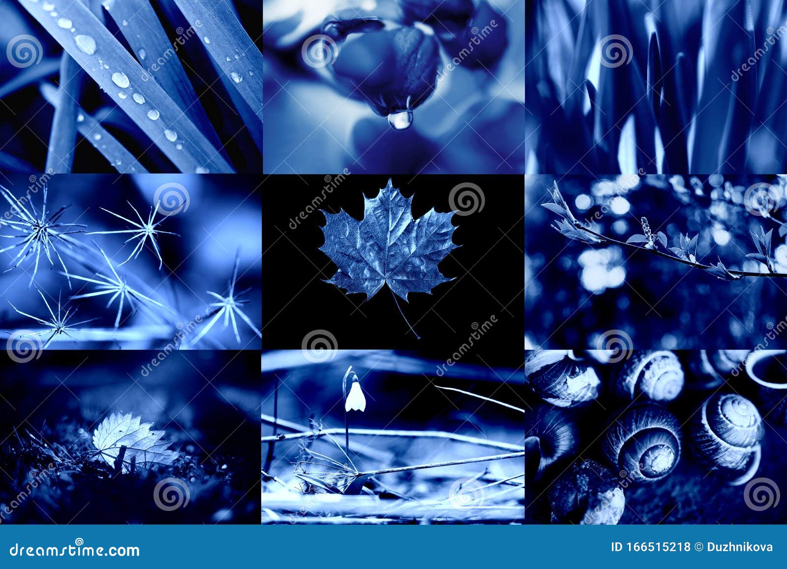 Classic Blue. Color of the Year 2020 Stock Photo - Image of fashion ...
