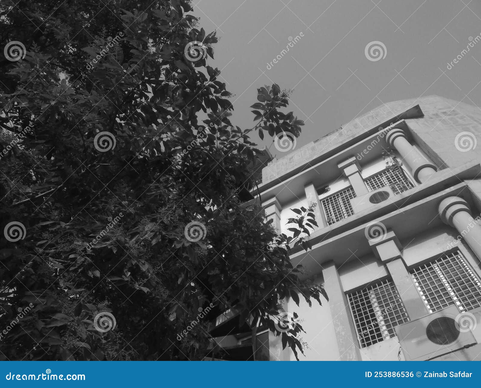 Classic Building beside Trees Stock Photo - Image of window, tree ...