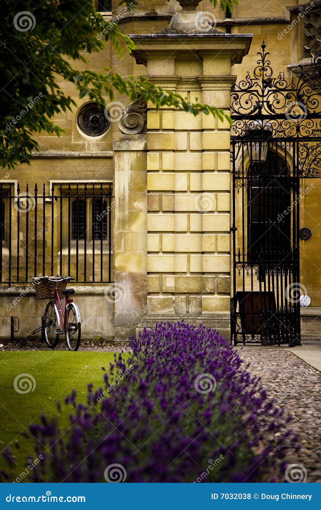 Classic Cambridge University Scene Stock Photo - Image of backs ...
