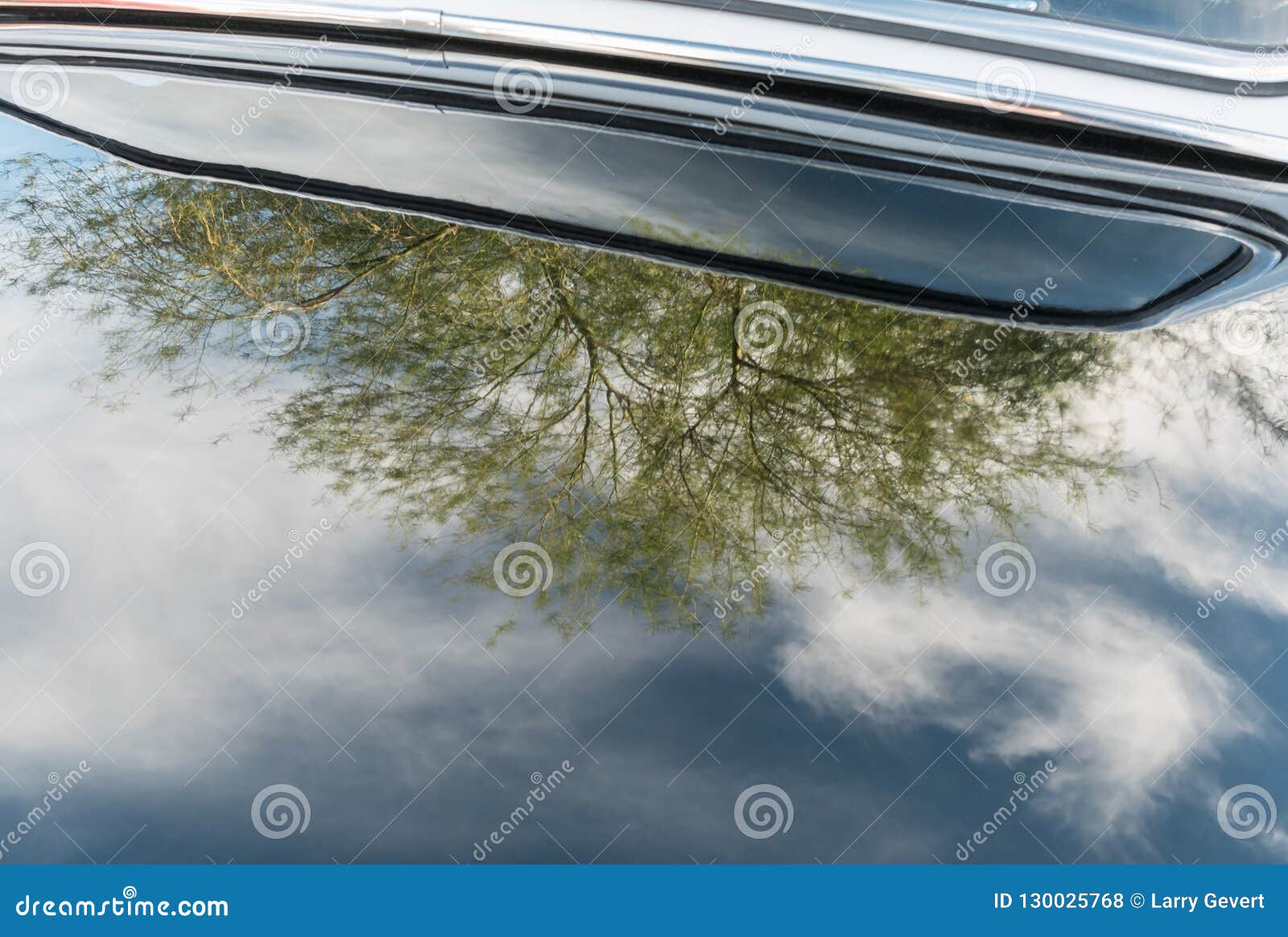 Classic Car and Tree Reflection Stock Photo - Image of collector, aged ...