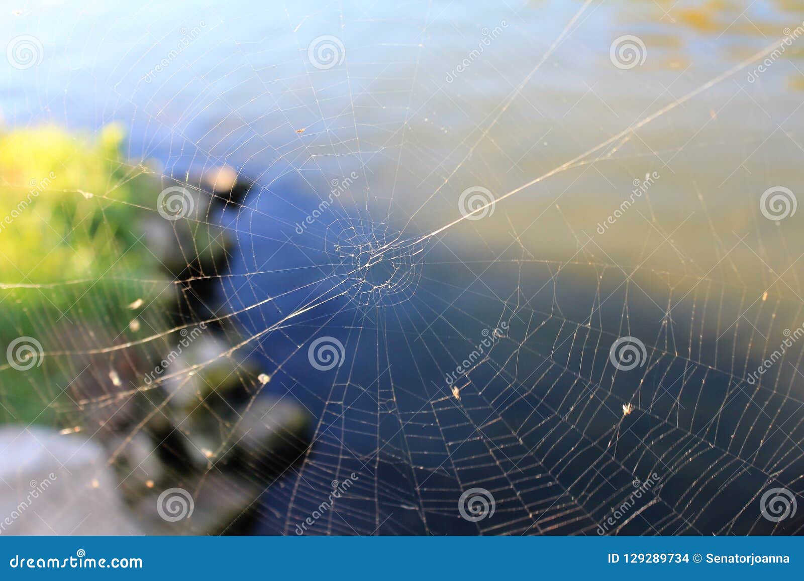 Luxembourg - a Classic Circular Form Spider S Web Stock Photo - Image ...