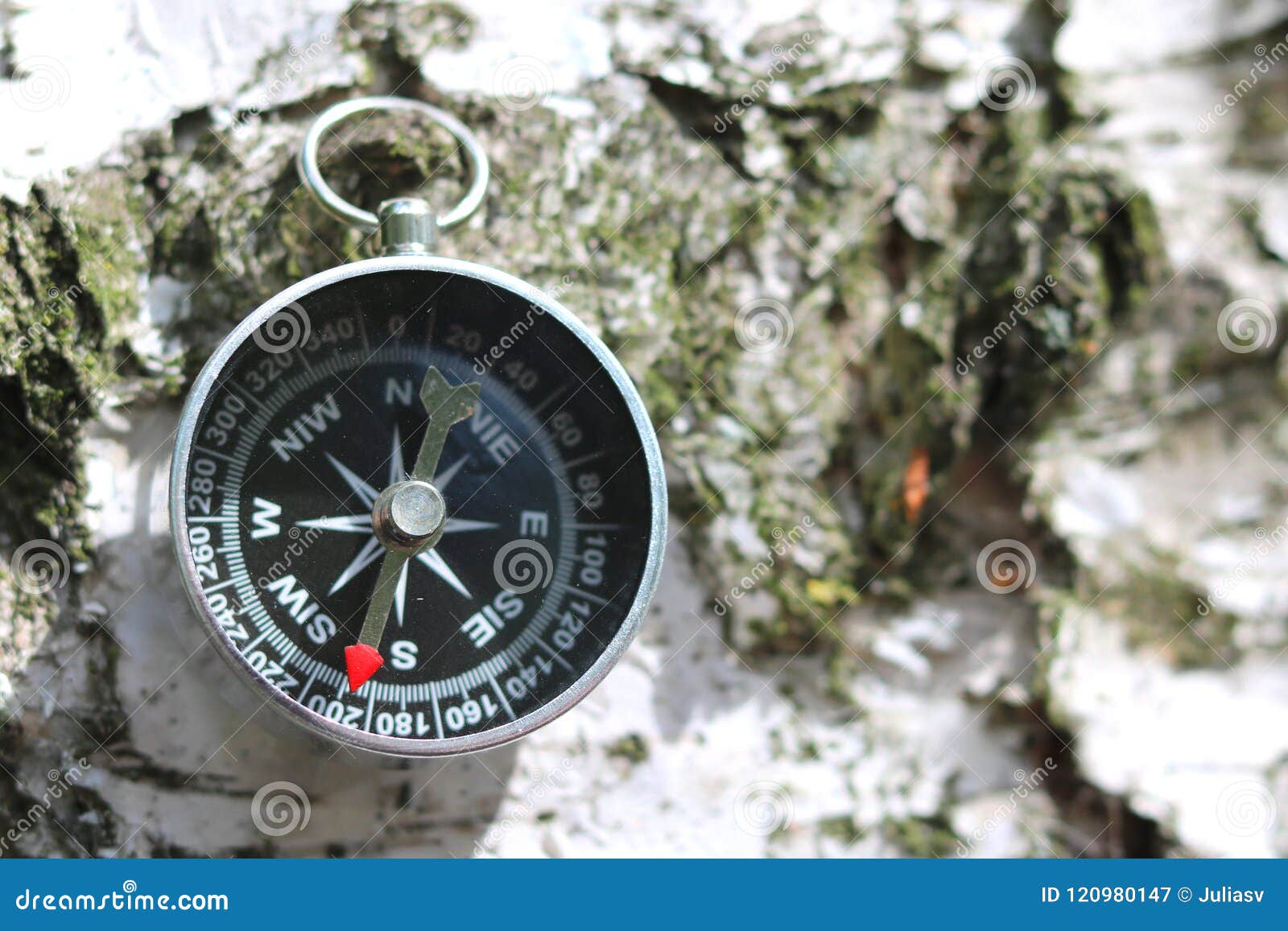 Classic Compass on Natural Background with Birch Bark Texture Stock ...