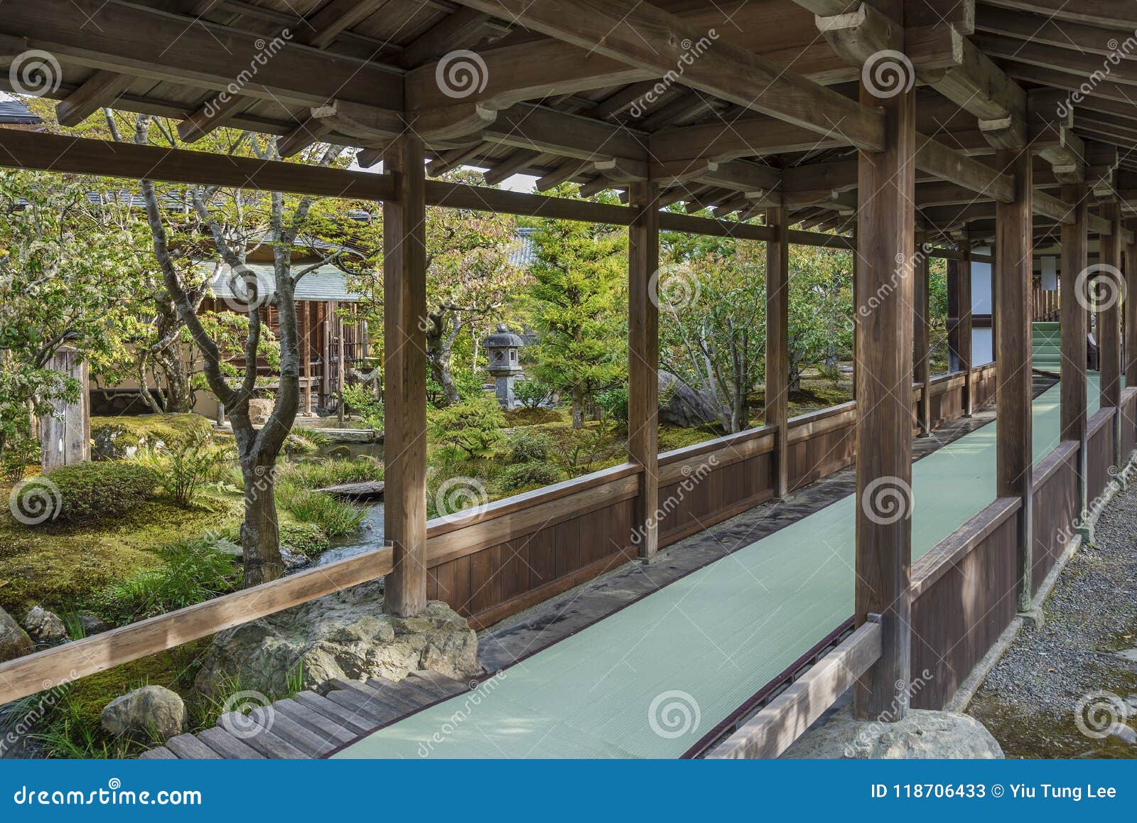 Classic corridor stock image. Image of natural, green - 118706433