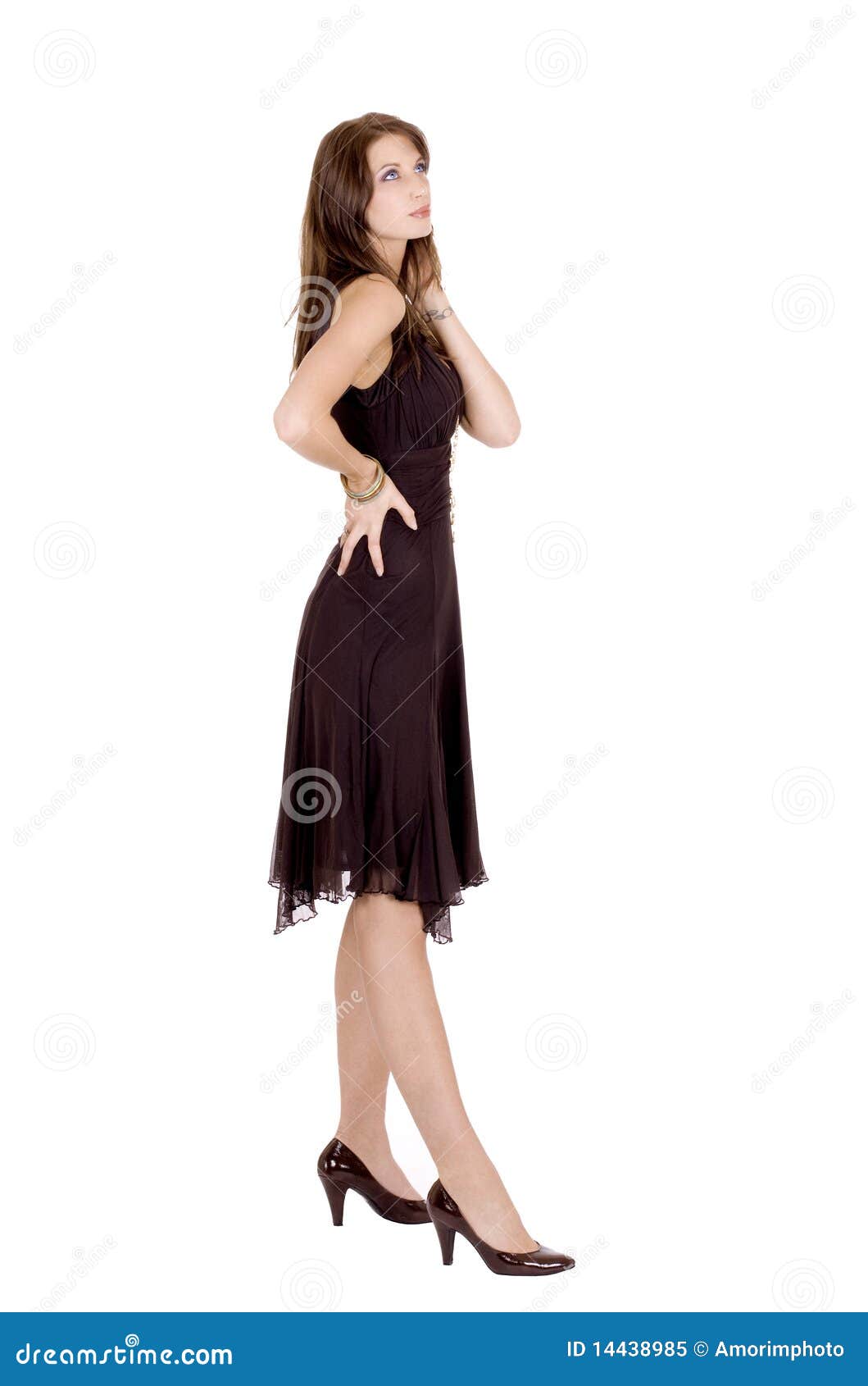 Classic dress stock image. Image of lady, beautiful, glamorous - 14438985