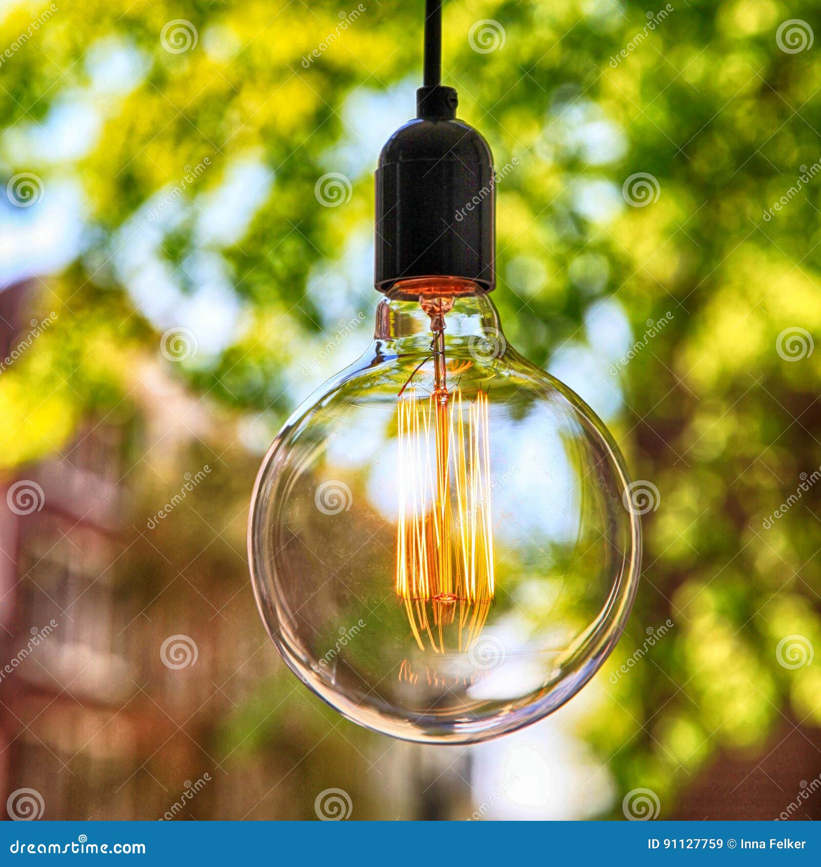 Classic Edison Light Bulb on Green Leaves Background Stock Image ...
