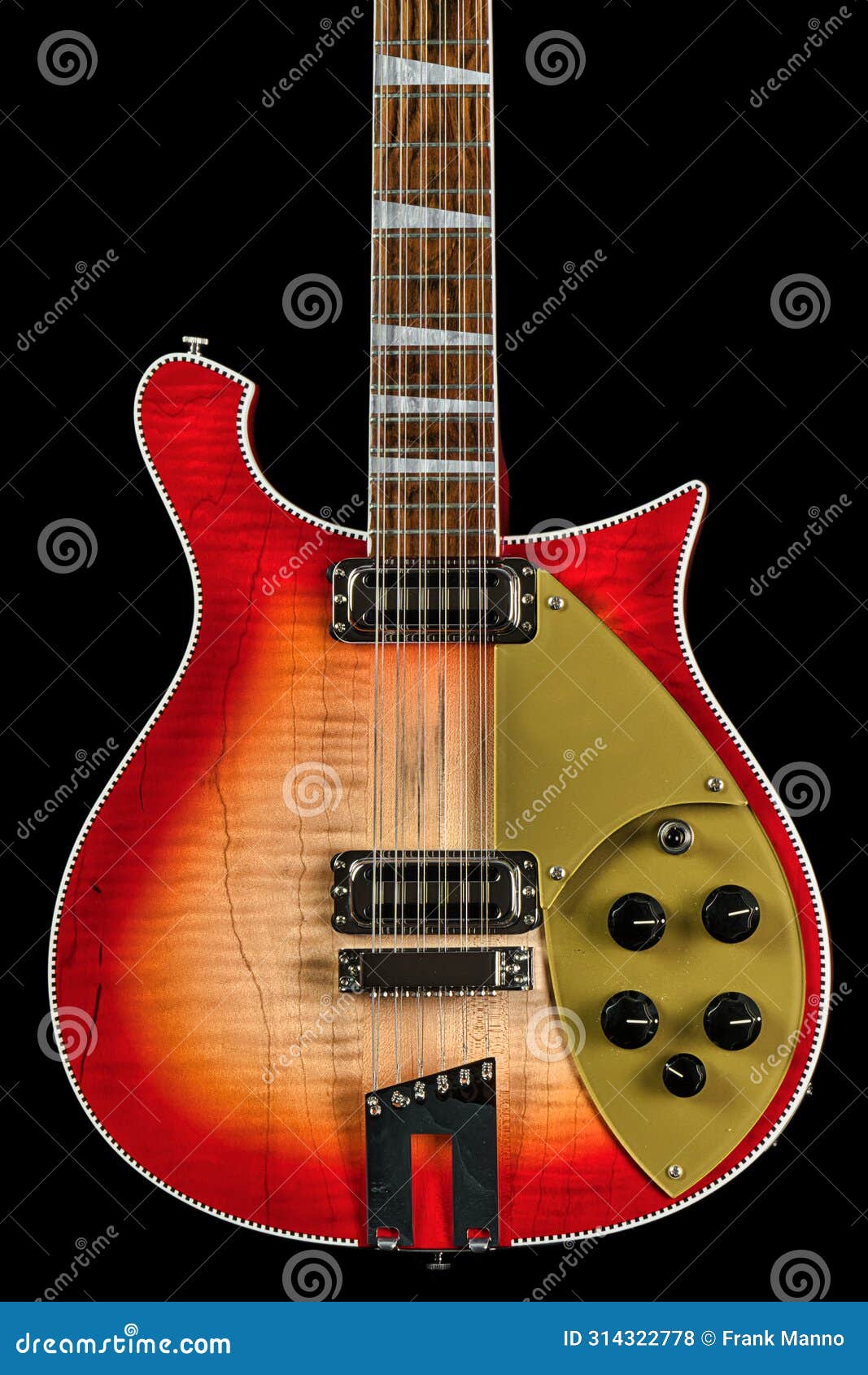 Classic Electric 12 - String Guitar - Rock and Roll Icon - Front Right ...