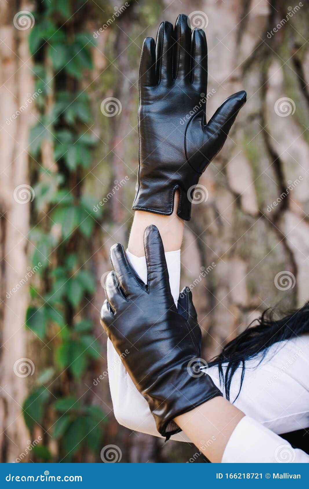 Classic Gloves on Female Hands Stock Image - Image of fingers, autumn ...