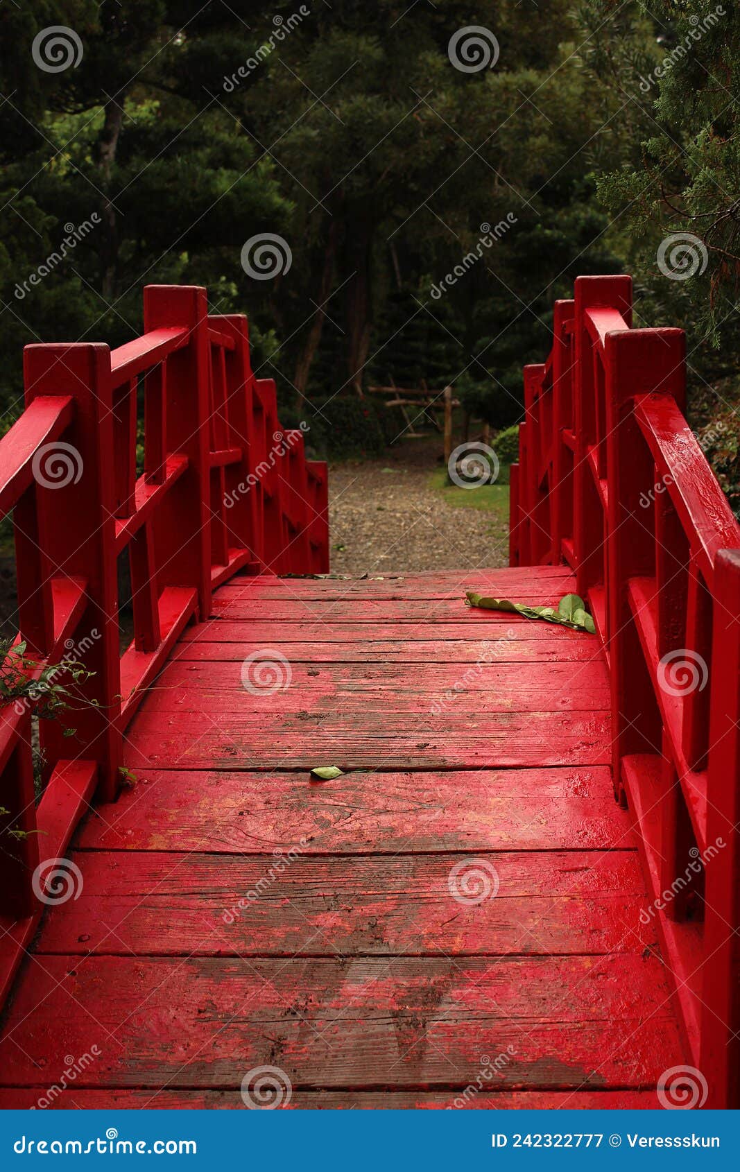 Classic Japanese Style. the Red Bridge in the Japanese Garden. Stock ...