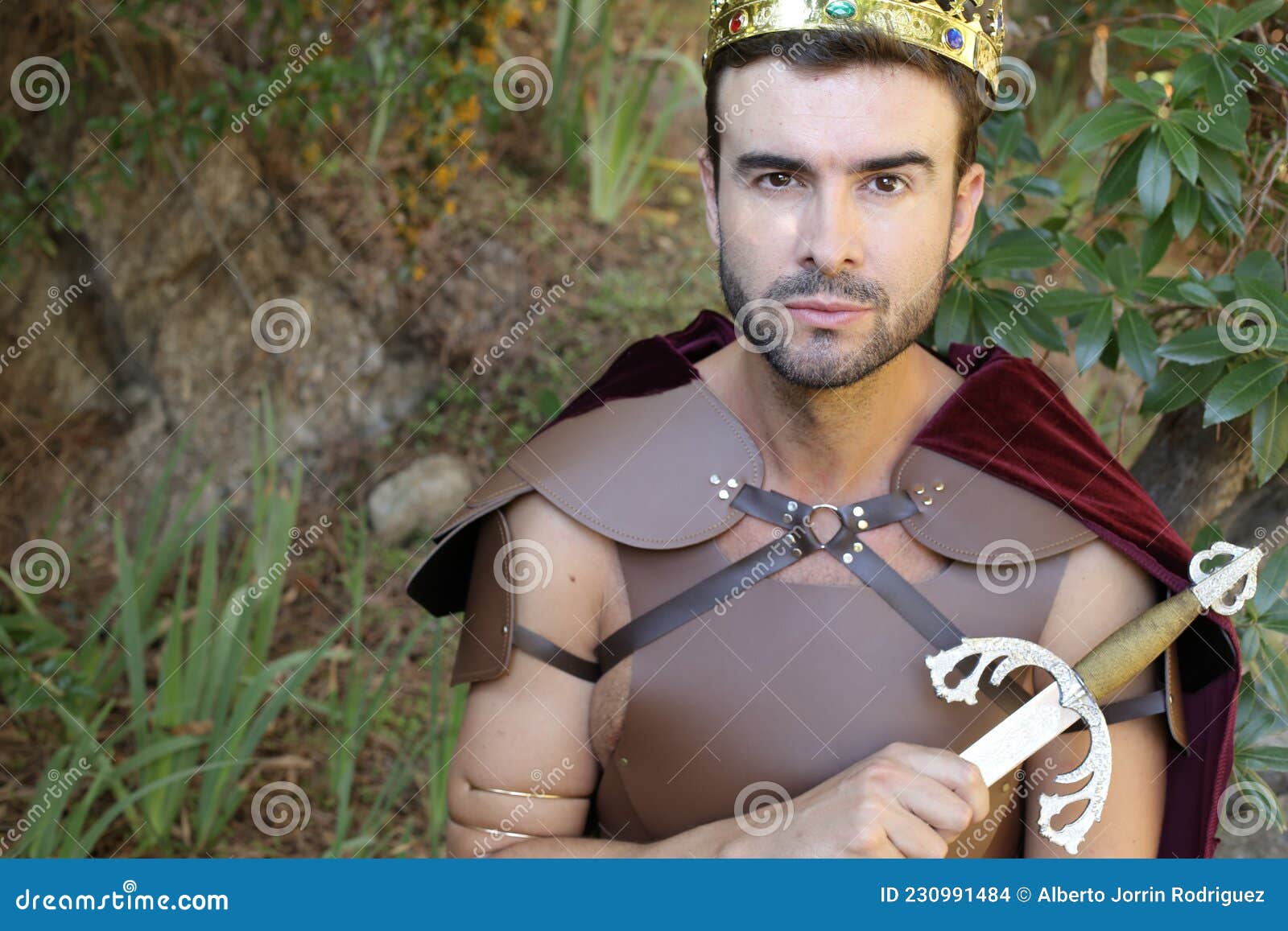 Classic King with Good Looks Stock Photo - Image of crown, british ...