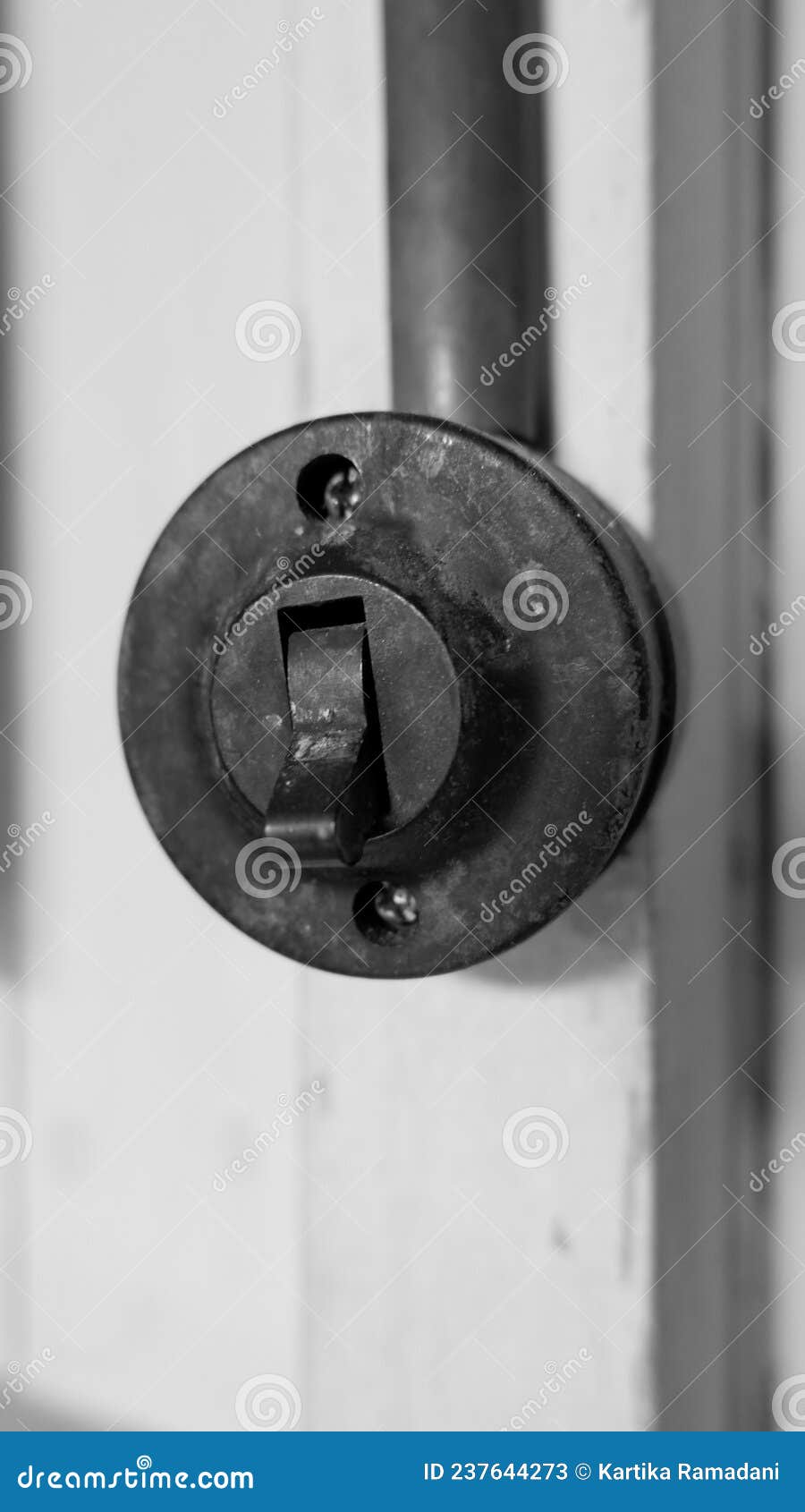 Classic Light Switch in Black and White Stock Image - Image of black ...